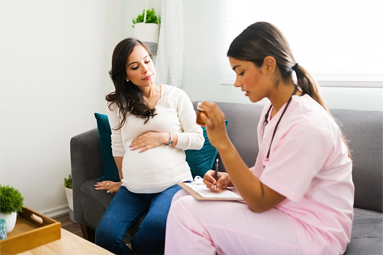 Healthy Start Home Visiting Program - Florida Healthy Start HHP